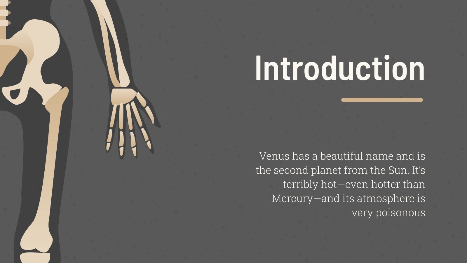 Anatomy Lesson Google Slides theme and PowerPoint template