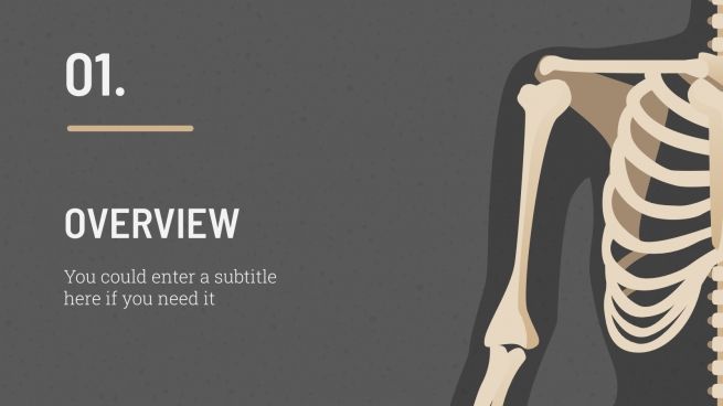 Anatomy Lesson Google Slides theme and PowerPoint template
