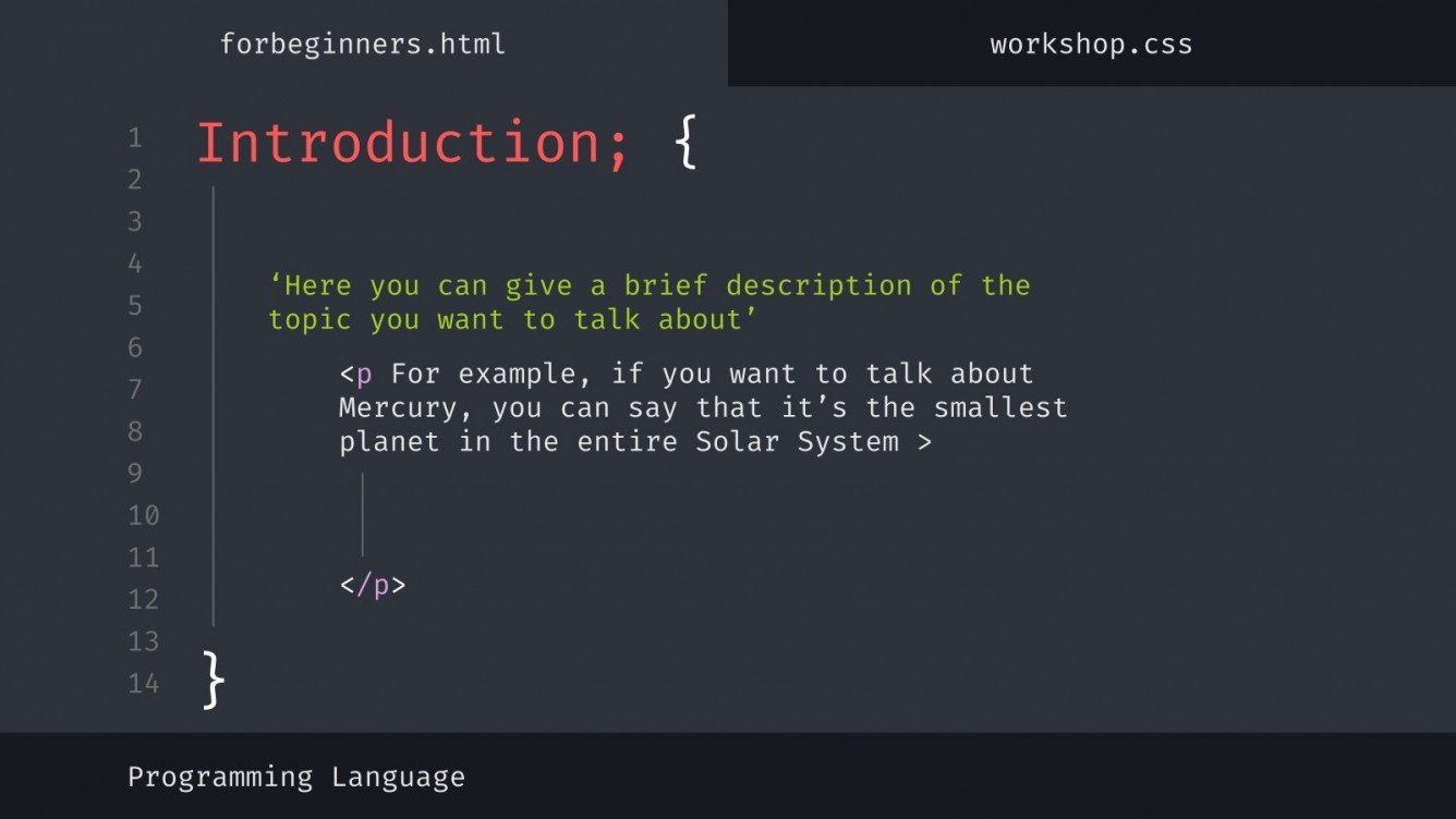 Programming Language Workshop for Beginners