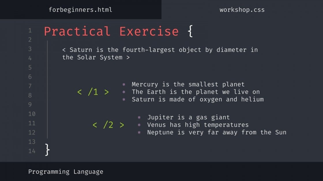 Programming Language Workshop for Beginners