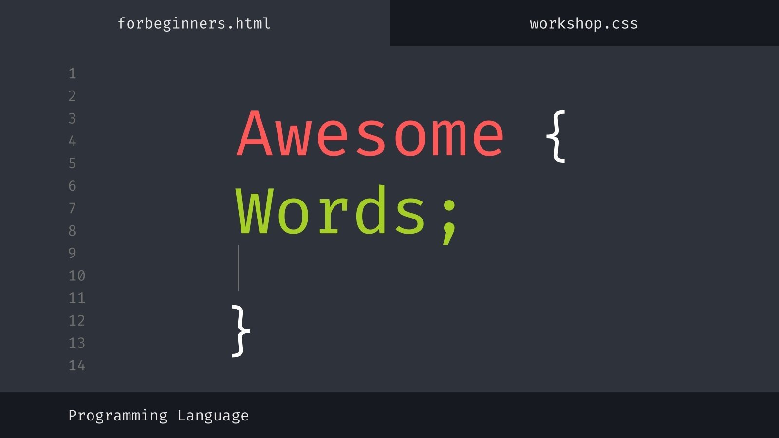 Programming Language Workshop for Beginners