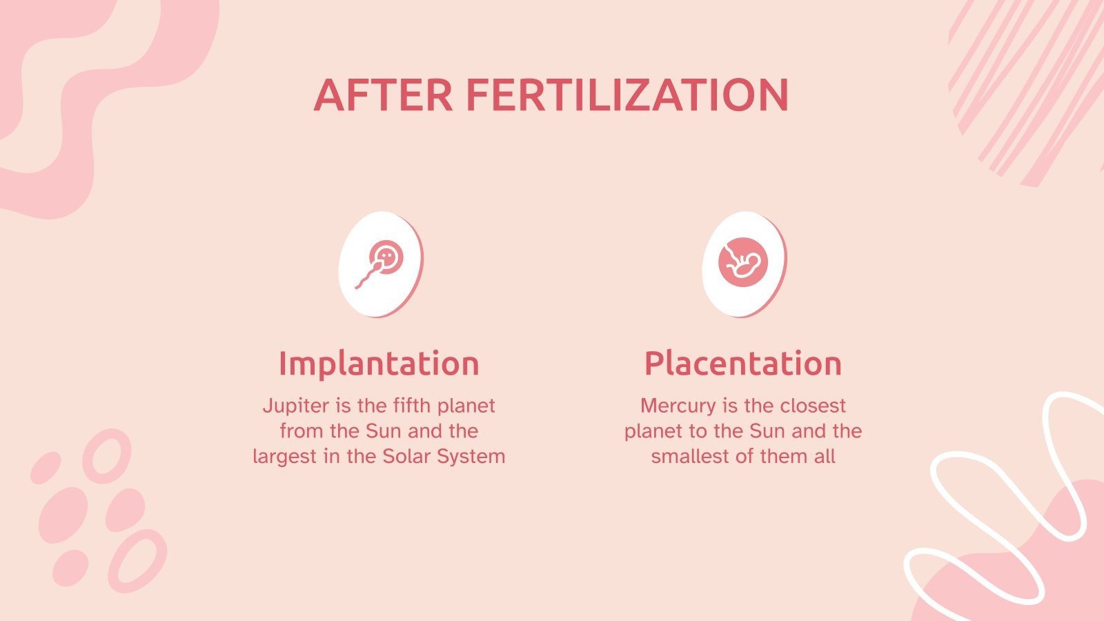 Stages of Development of the Fetus | Google Slides & PPT