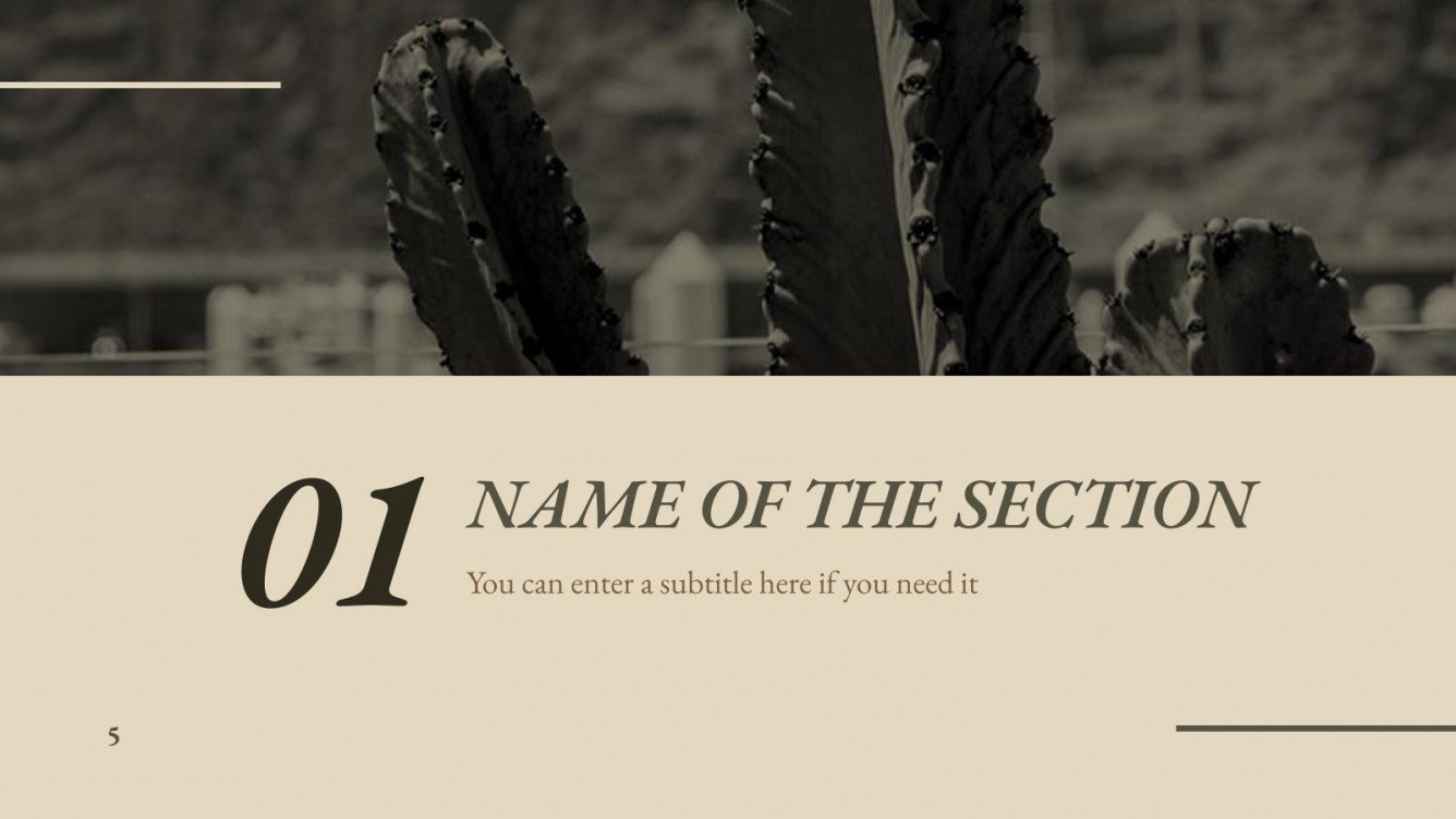 Social Studies for 9th Grade: Origins of U.S. | Google Slides