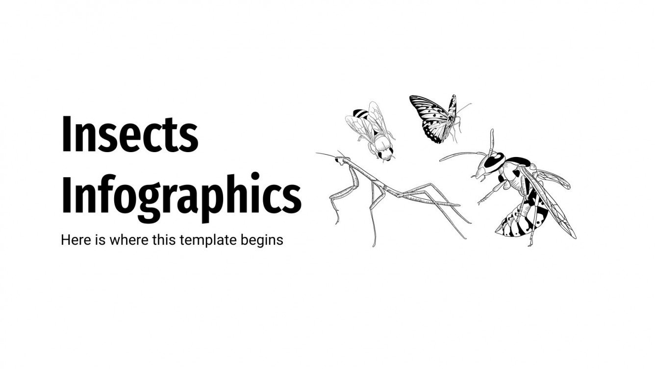 Insects Infographics | Google Slides & PowerPoint Template