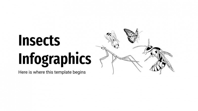 Insects Infographics | Google Slides & PowerPoint Template