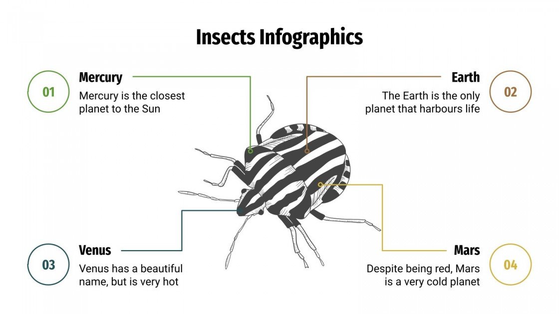 Insects Infographics | Google Slides & PowerPoint Template