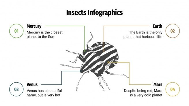 Insects Infographics | Google Slides & PowerPoint Template