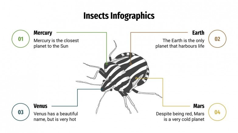 Insects Infographics | Google Slides & PowerPoint Template