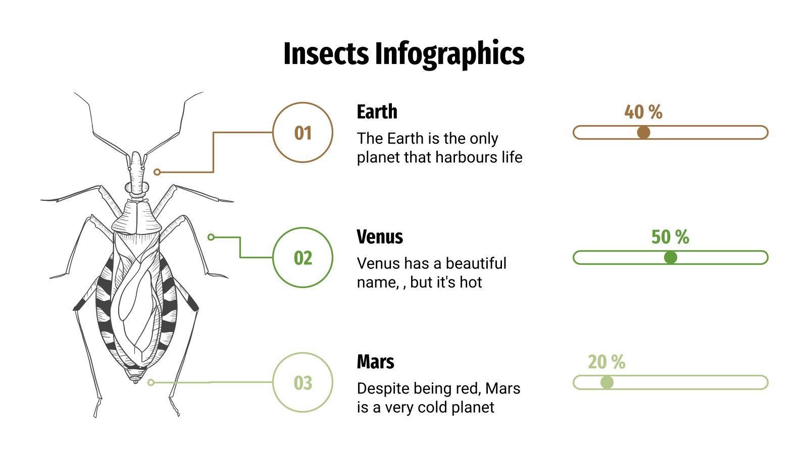 Insects Infographics | Google Slides & PowerPoint Template