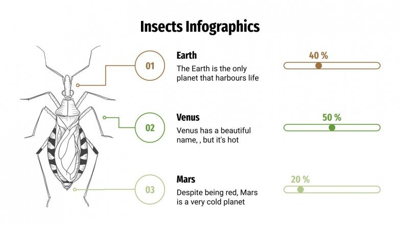 Insects Infographics | Google Slides & PowerPoint Template