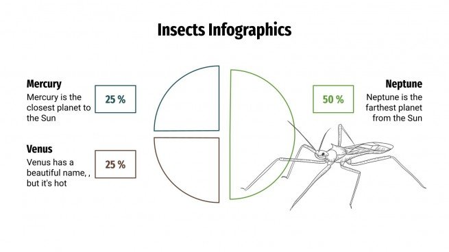 Insects Infographics | Google Slides & PowerPoint Template