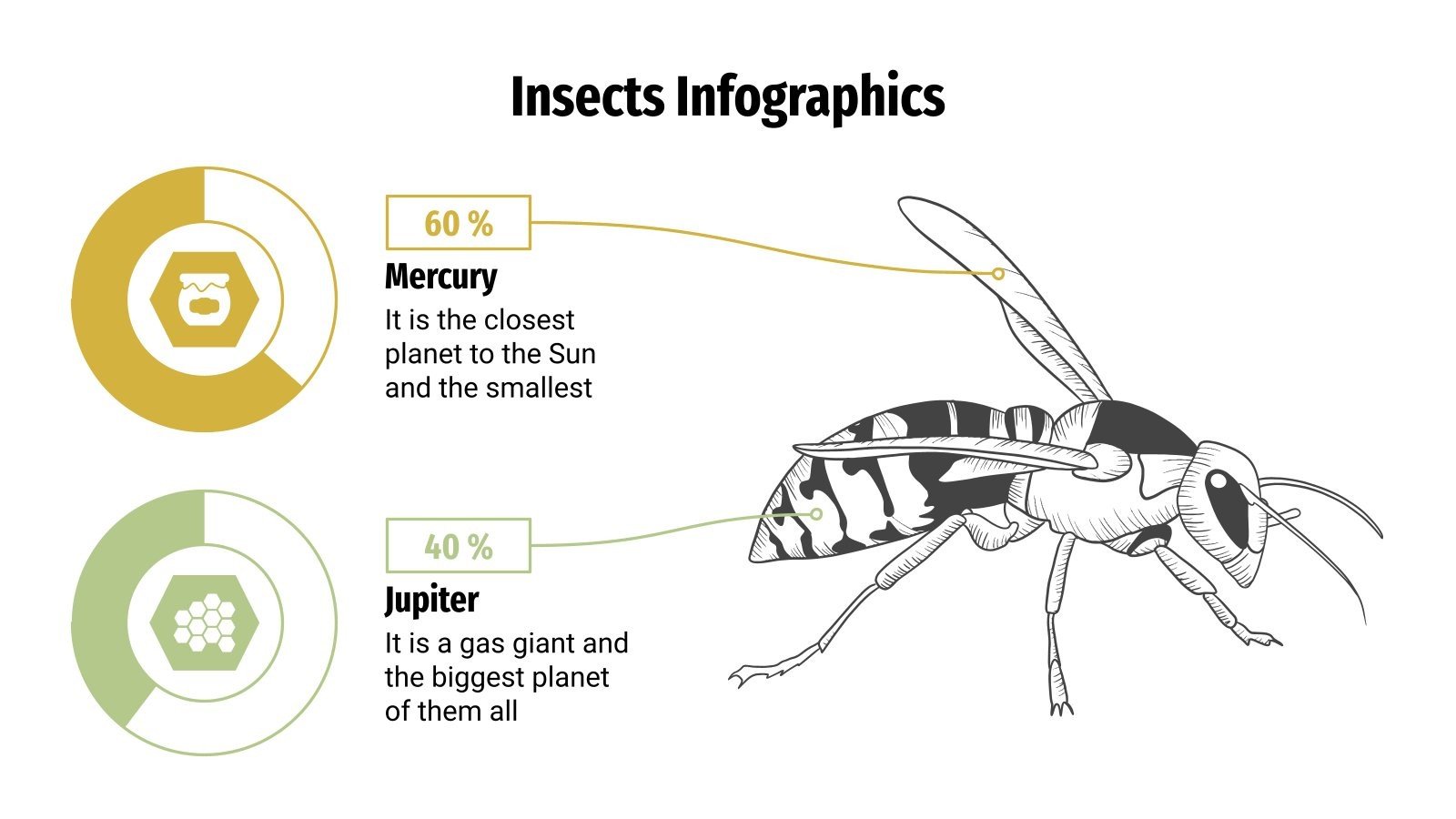 Insects Infographics | Google Slides & PowerPoint Template