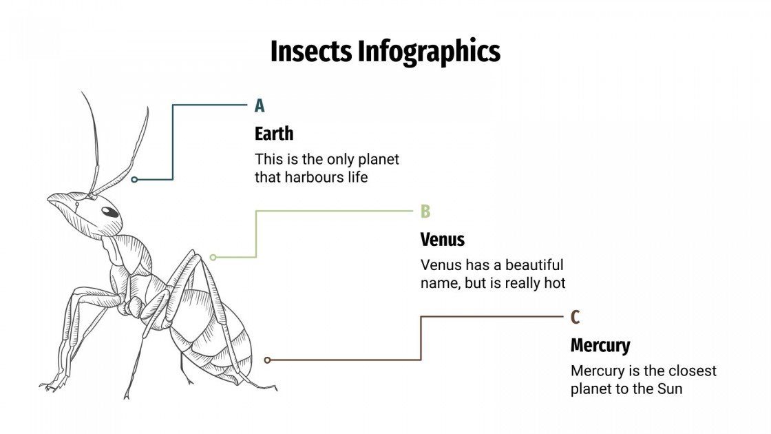 Insects Infographics | Google Slides & PowerPoint Template