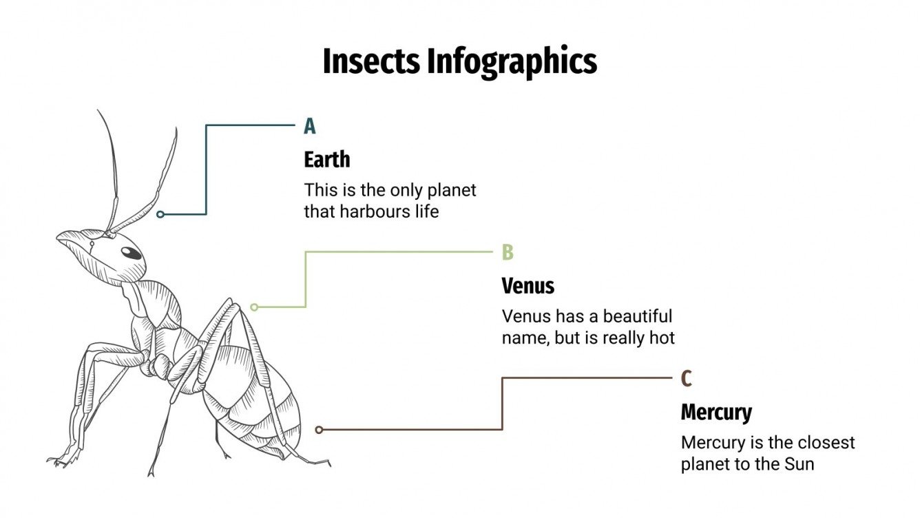 Insects Infographics | Google Slides & PowerPoint Template