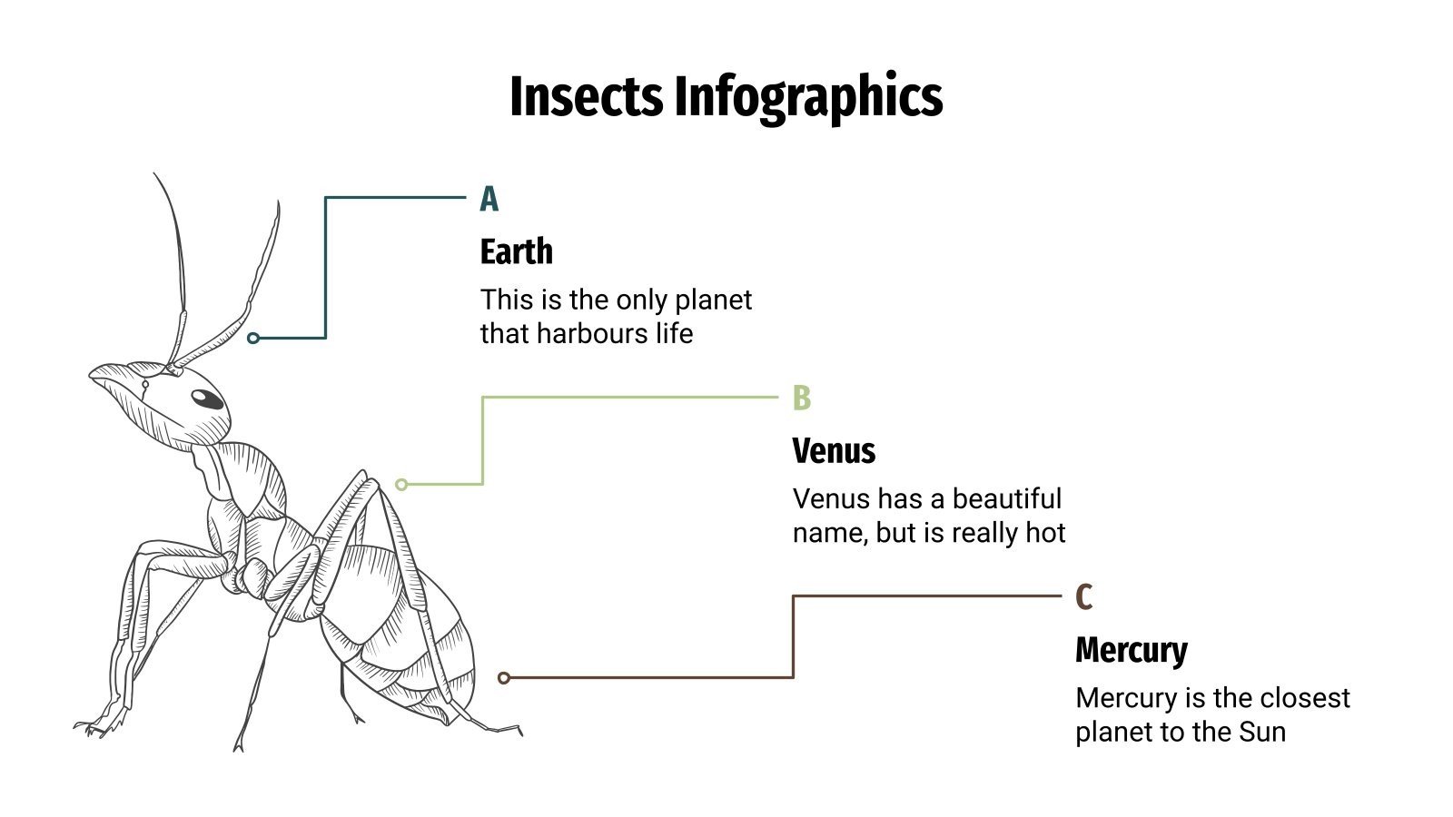 Insects Infographics | Google Slides & PowerPoint Template