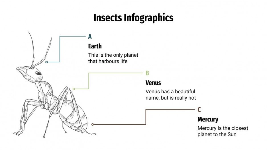 Insects Infographics | Google Slides & PowerPoint Template