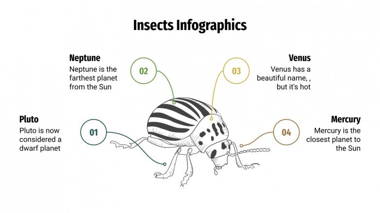 Insects Infographics | Google Slides & PowerPoint Template