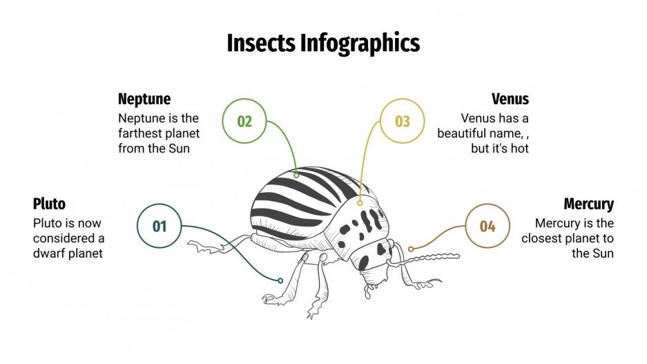 Insects Infographics | Google Slides & PowerPoint Template