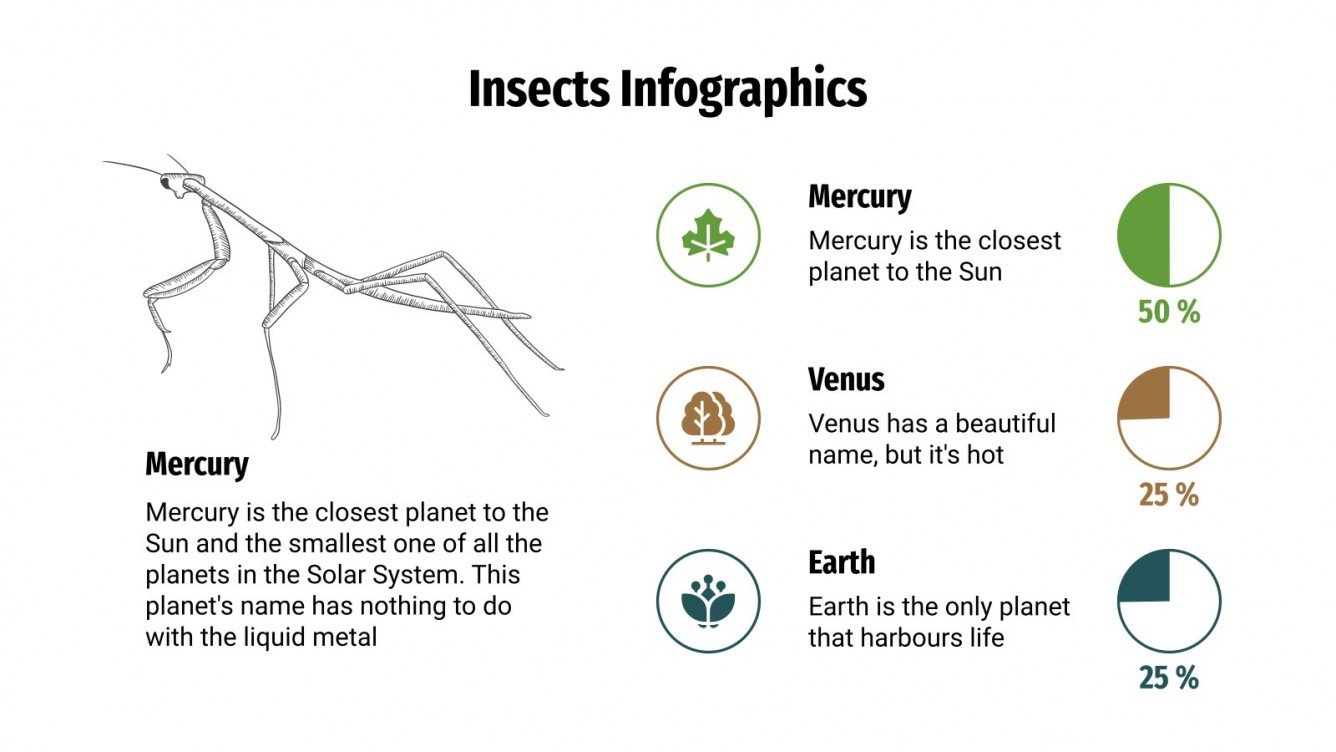 Infografías de insectos | Plantilla de Google Slides & PPT