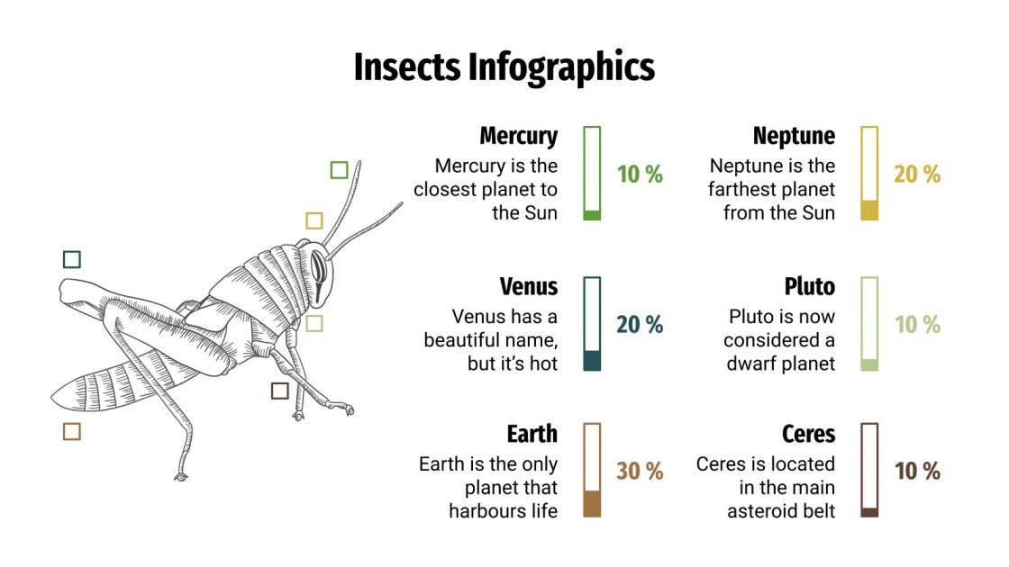 Insects Infographics | Google Slides & PowerPoint Template