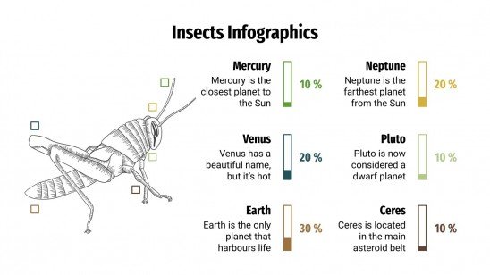 Insects Infographics | Google Slides & PowerPoint Template