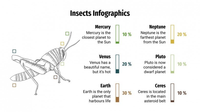 Insects Infographics | Google Slides & PowerPoint Template