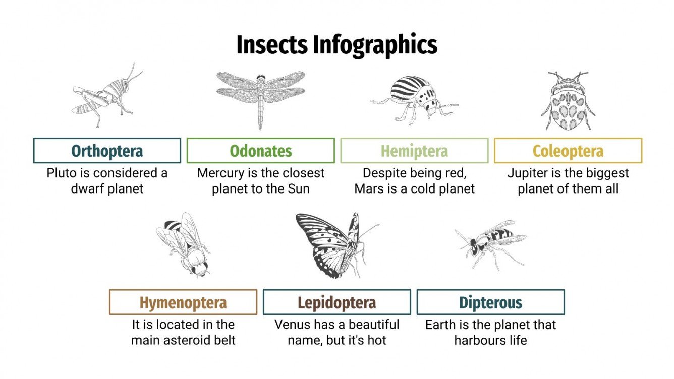 Insects Infographics | Google Slides & PowerPoint Template