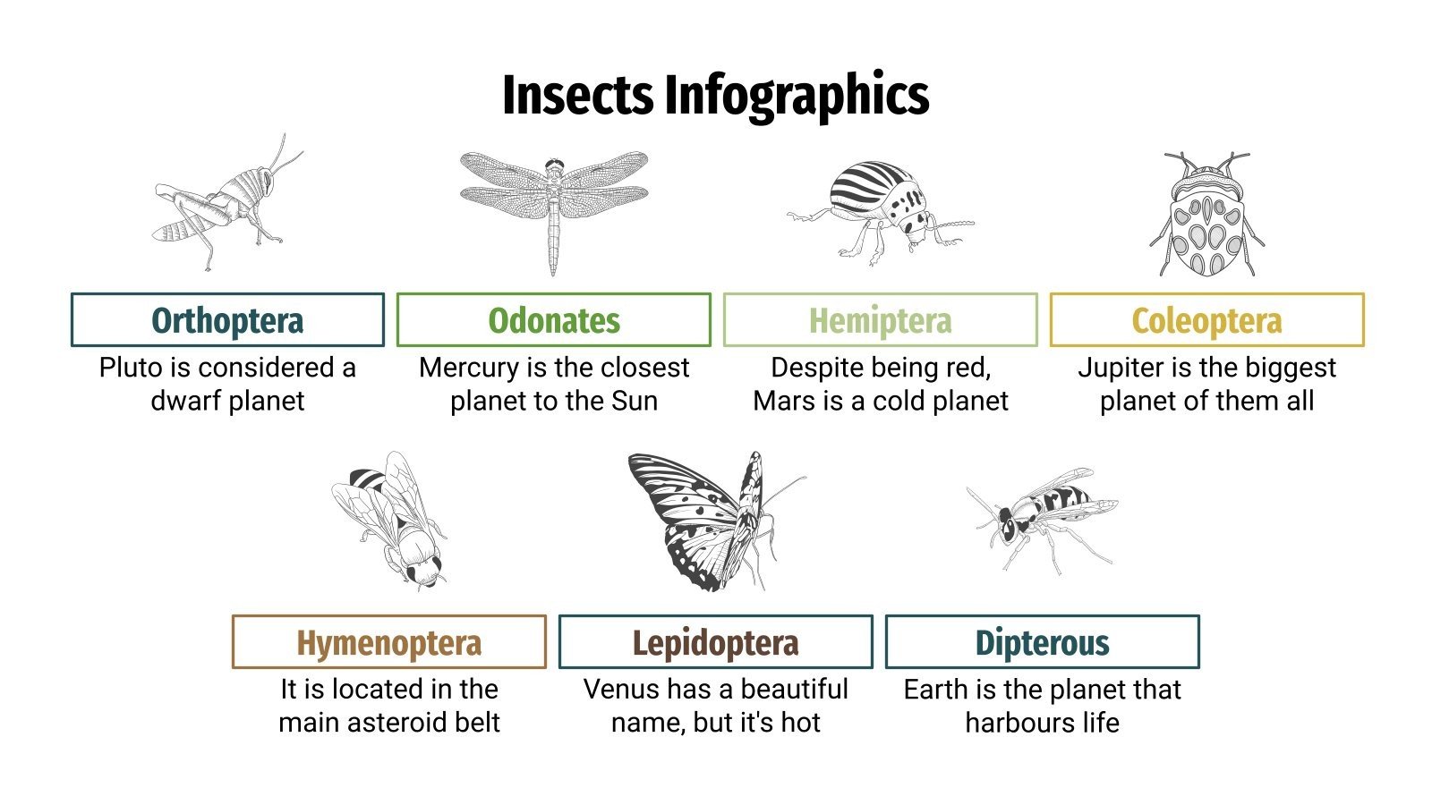 Insects Infographics | Google Slides & PowerPoint Template
