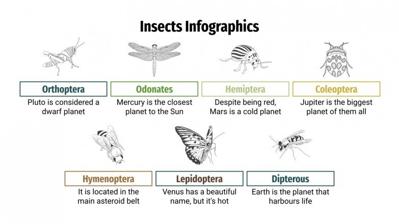 Insects Infographics | Google Slides & PowerPoint Template