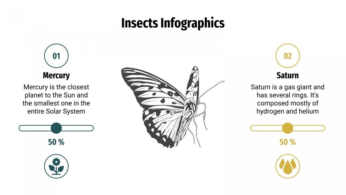 Insects Infographics | Google Slides & PowerPoint Template