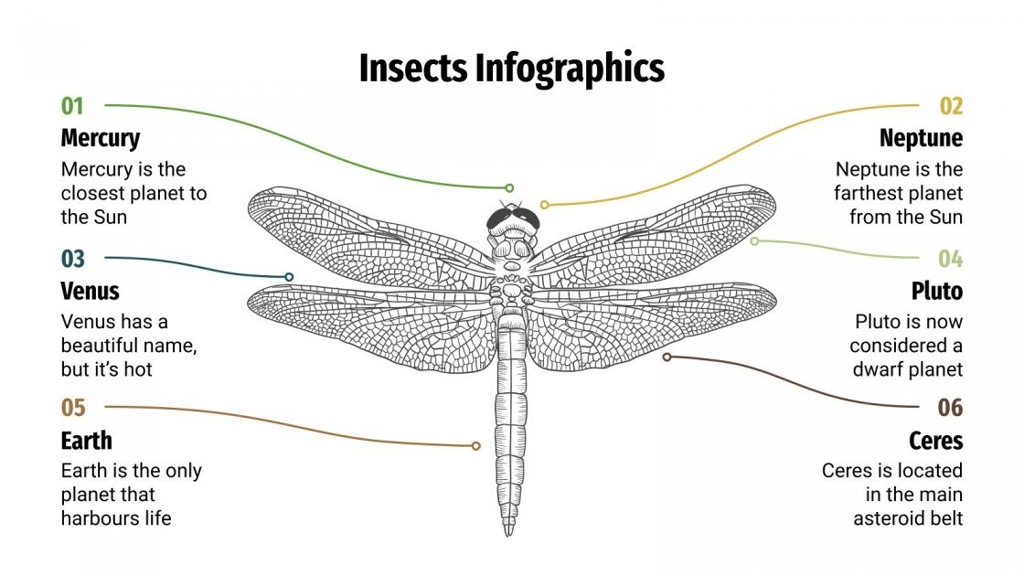 Insects Infographics | Google Slides & PowerPoint Template