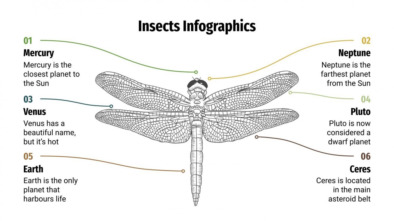 Insects Infographics | Google Slides & PowerPoint Template