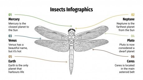 Insects Infographics | Google Slides & PowerPoint Template