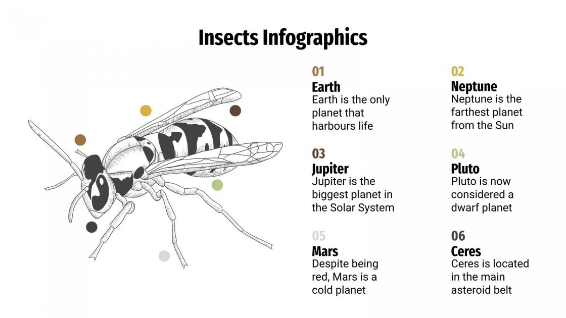 Insects Infographics | Google Slides & PowerPoint Template