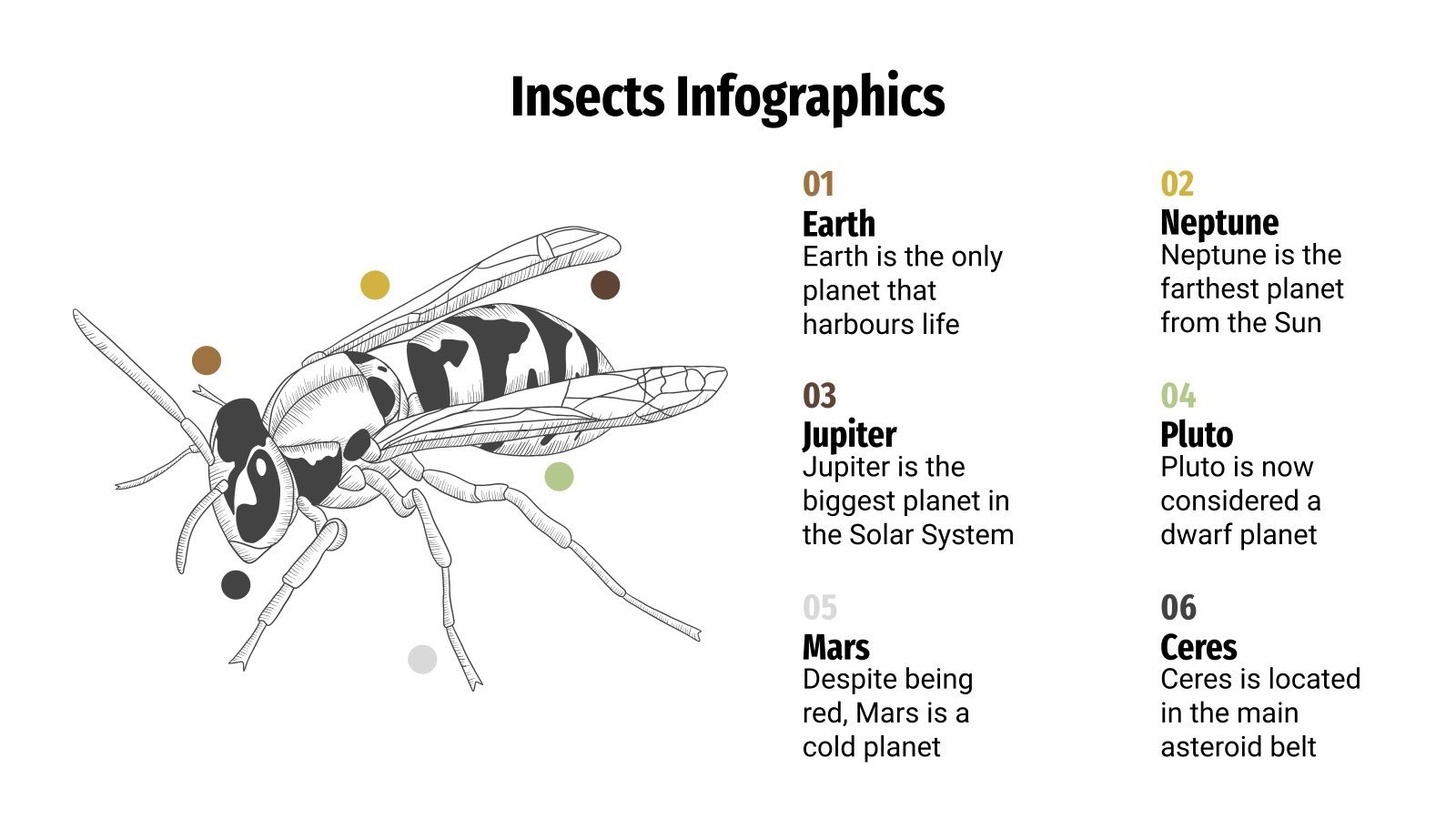 Insects Infographics | Google Slides & PowerPoint Template