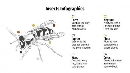 Insects Infographics | Google Slides & PowerPoint Template