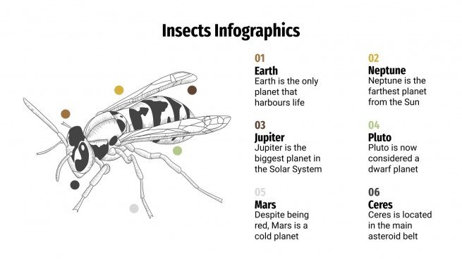 Insects Infographics | Google Slides & PowerPoint Template