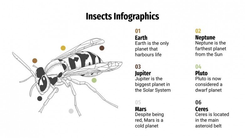 Insects Infographics | Google Slides & PowerPoint Template