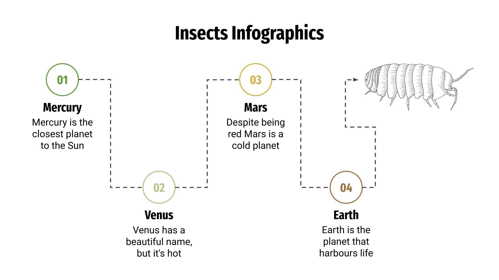 Insects Infographics | Google Slides & PowerPoint Template