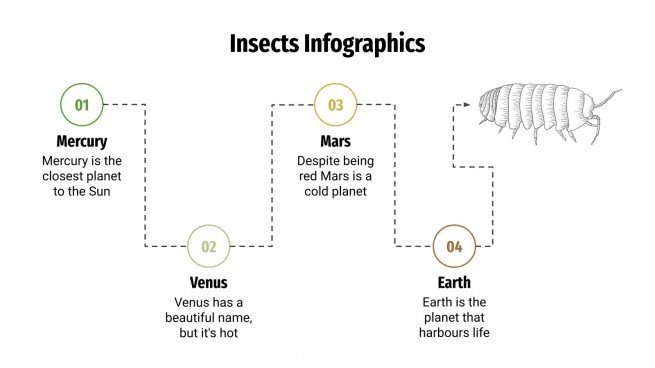 Insects Infographics | Google Slides & PowerPoint Template