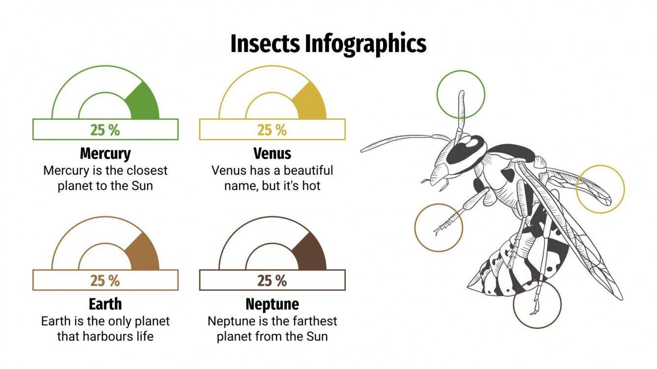 Insects Infographics | Google Slides & PowerPoint Template