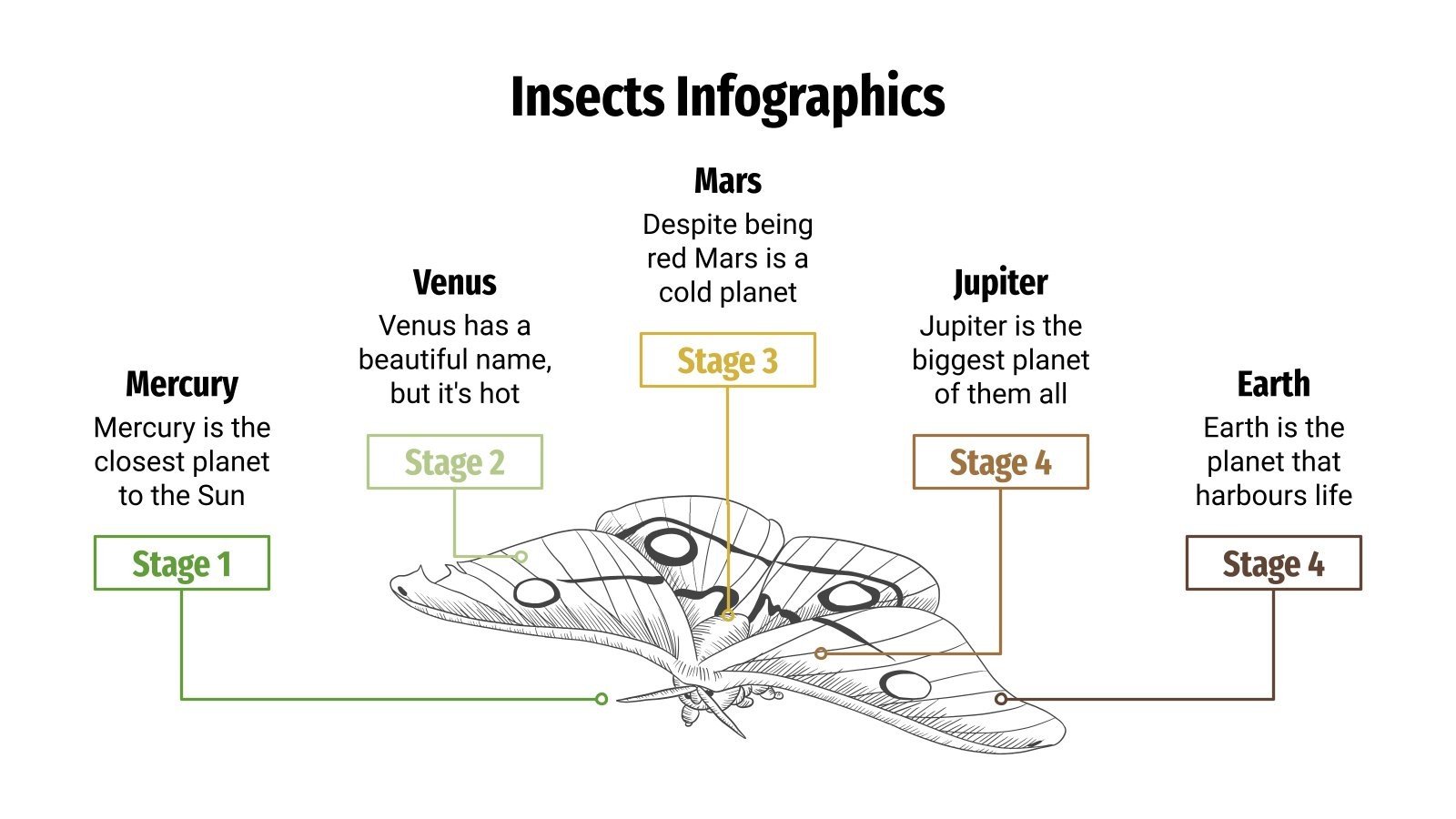 Insects Infographics | Google Slides & PowerPoint Template