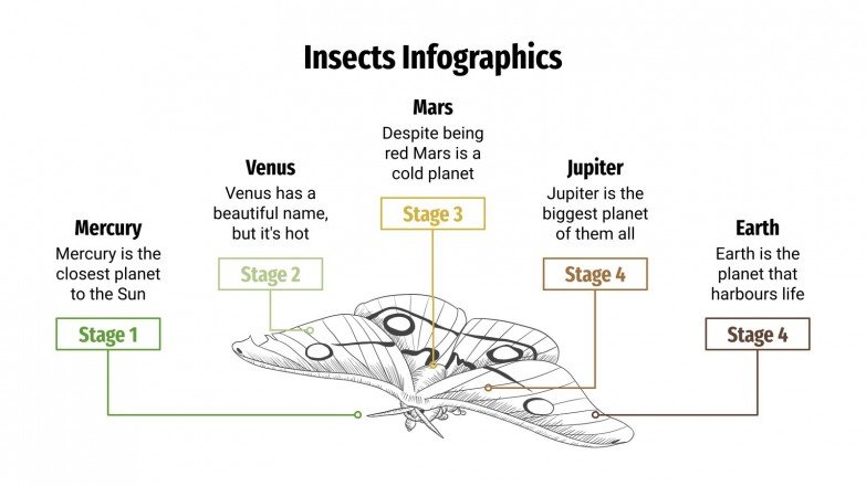 Insects Infographics | Google Slides & PowerPoint Template