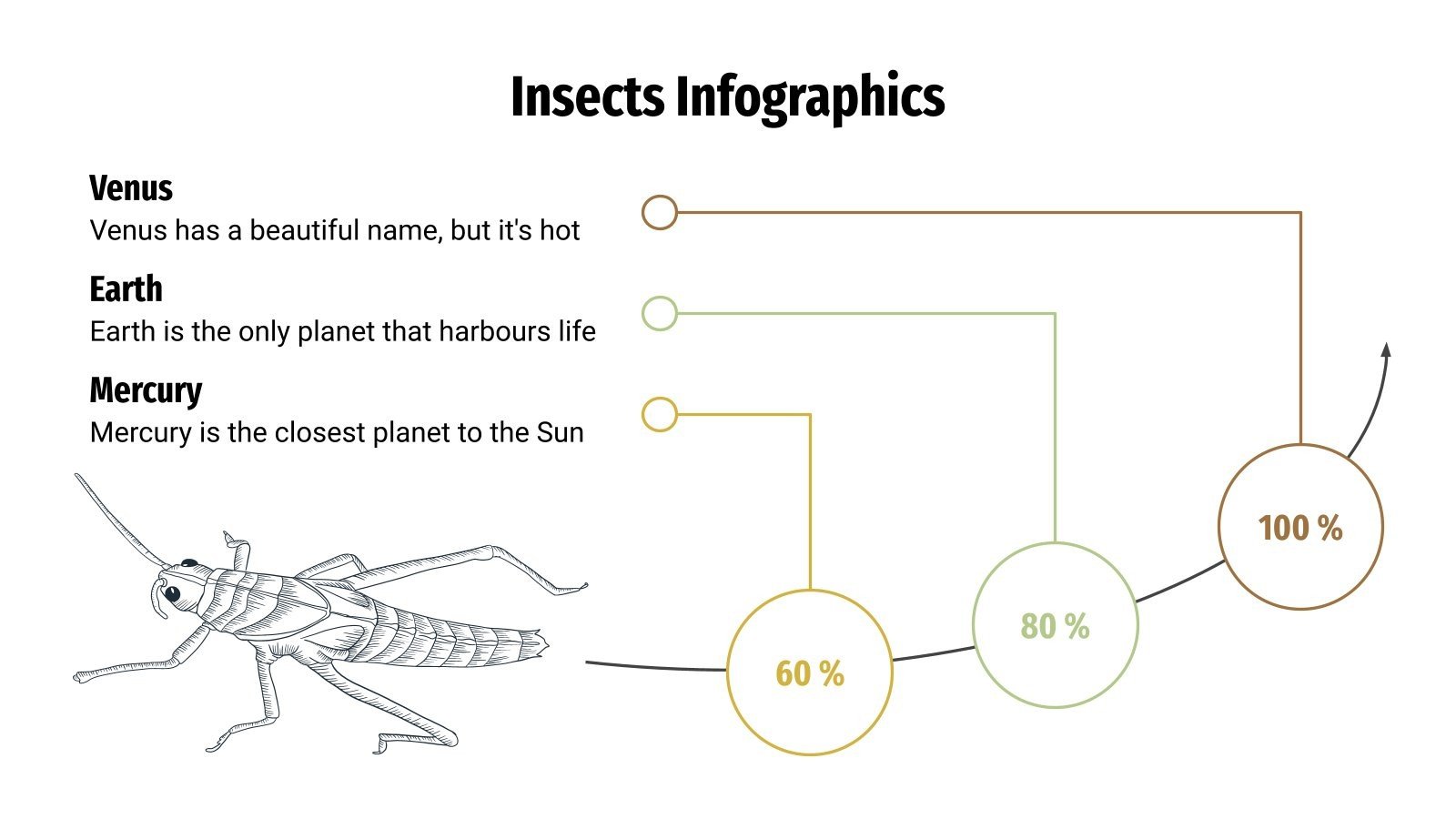 Insects Infographics | Google Slides & PowerPoint Template