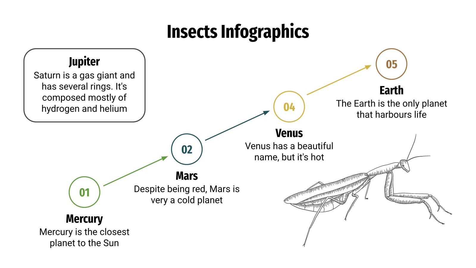Insects Infographics | Google Slides & PowerPoint Template