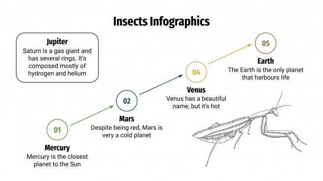 Insects Infographics | Google Slides & PowerPoint Template