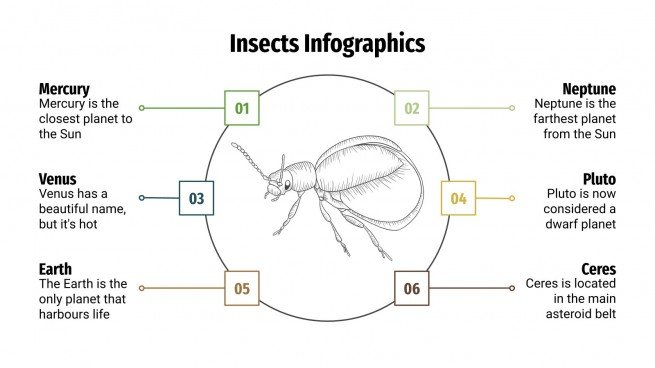 Insects Infographics | Google Slides & PowerPoint Template