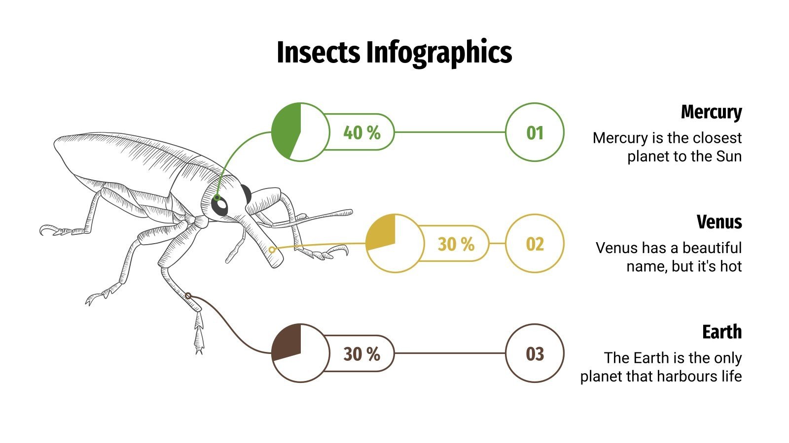 Insects Infographics | Google Slides & PowerPoint Template
