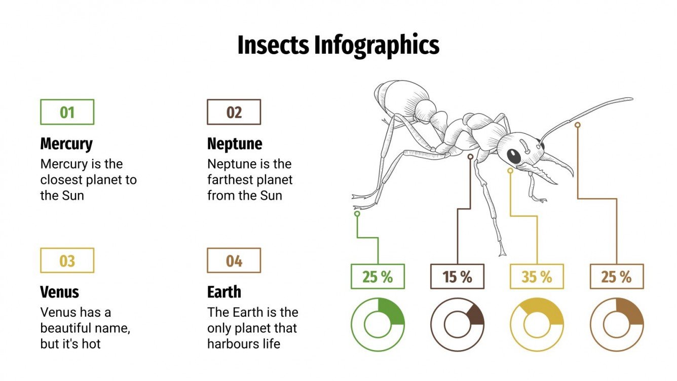 Insects Infographics | Google Slides & PowerPoint Template