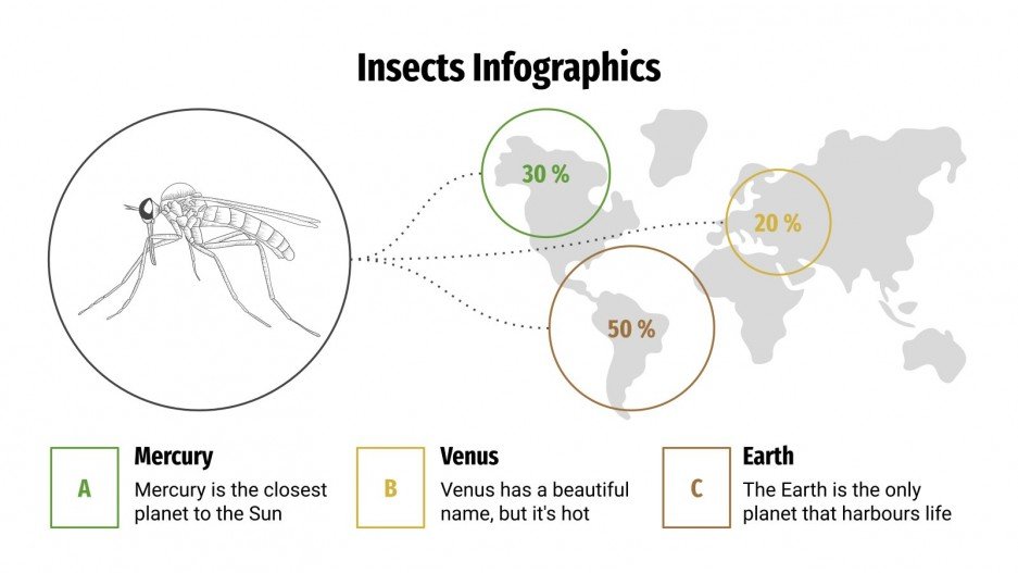Insects Infographics | Google Slides & PowerPoint Template
